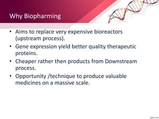 Molecular pharming | PPTX