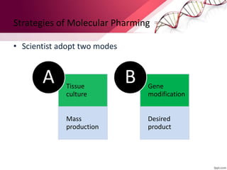Molecular pharming | PPTX