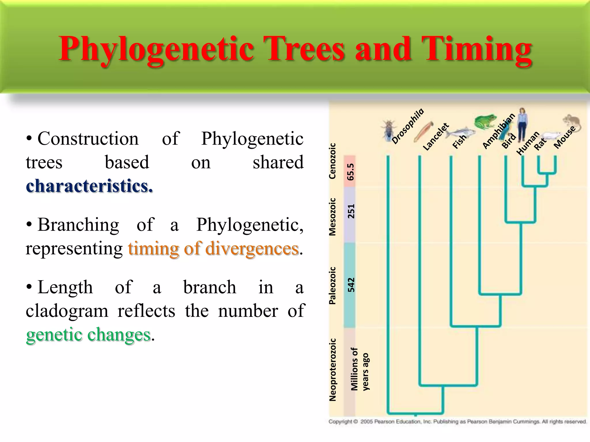 Molecular phylogenetics | PPTX