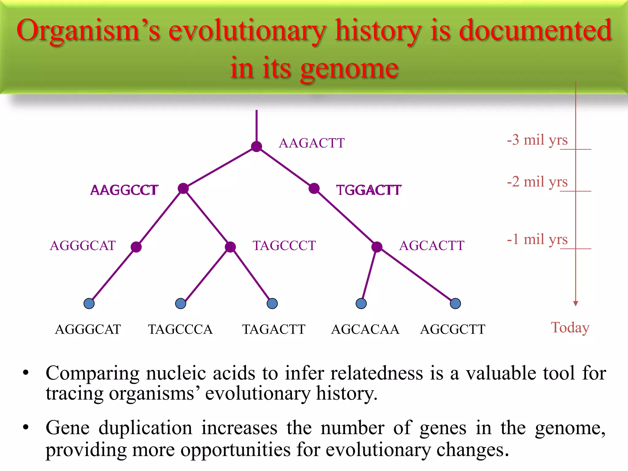 Molecular phylogenetics | PPTX