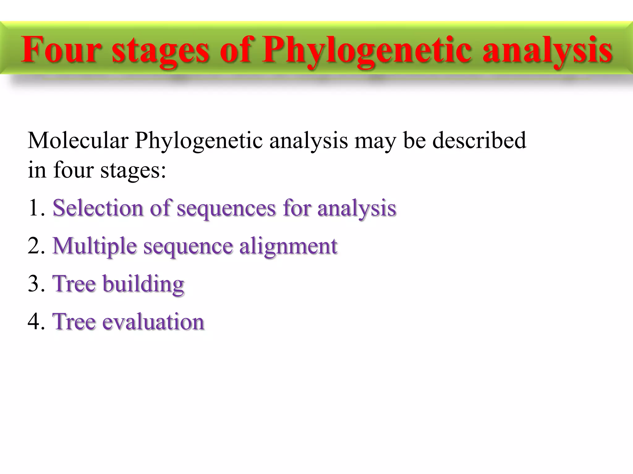 Molecular phylogenetics | PPTX