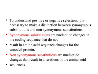 Molecular Phylogenetics_2-1.pptx........ | PPTX