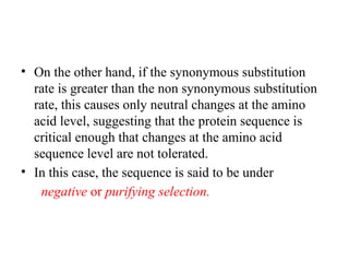 Molecular Phylogenetics_2-1.pptx........ | PPTX