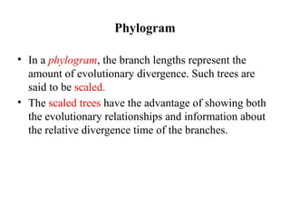 Molecular Phylogenetics_2-1.pptx........ | PPT