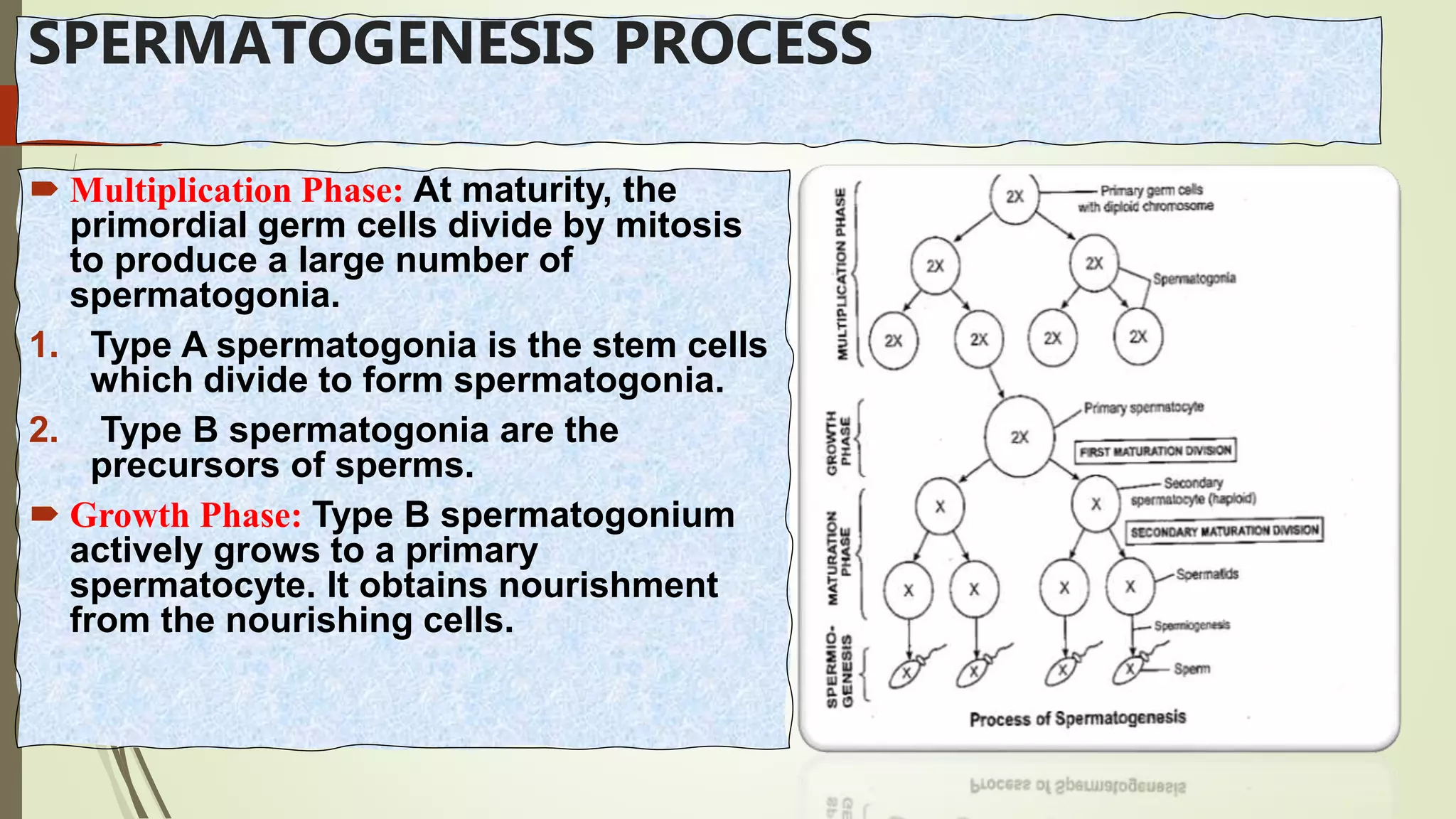 Molecular physiological basis of reproduction | PPTX
