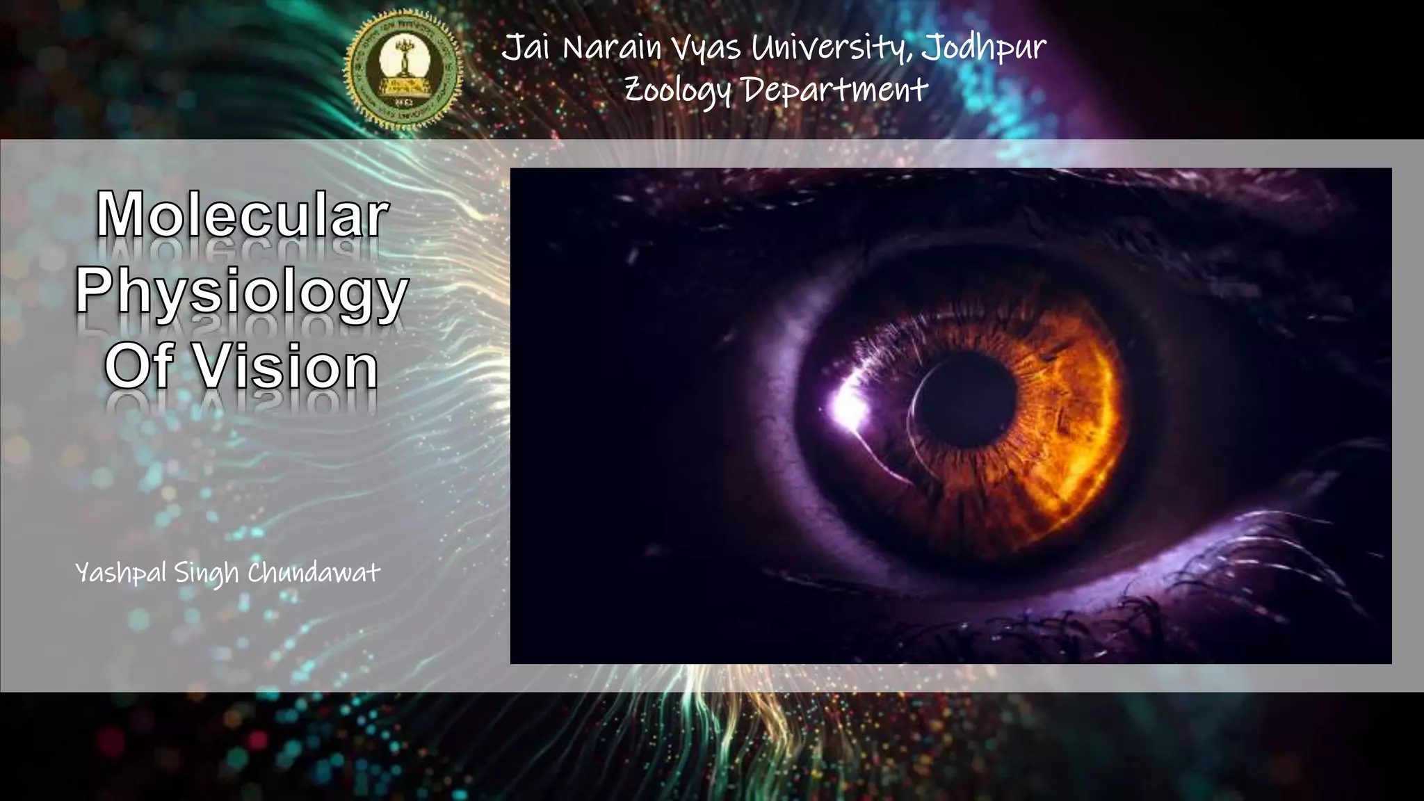 Molecular Physiology Of Vision | PPT