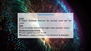Molecular Physiology Of Vision | PPT