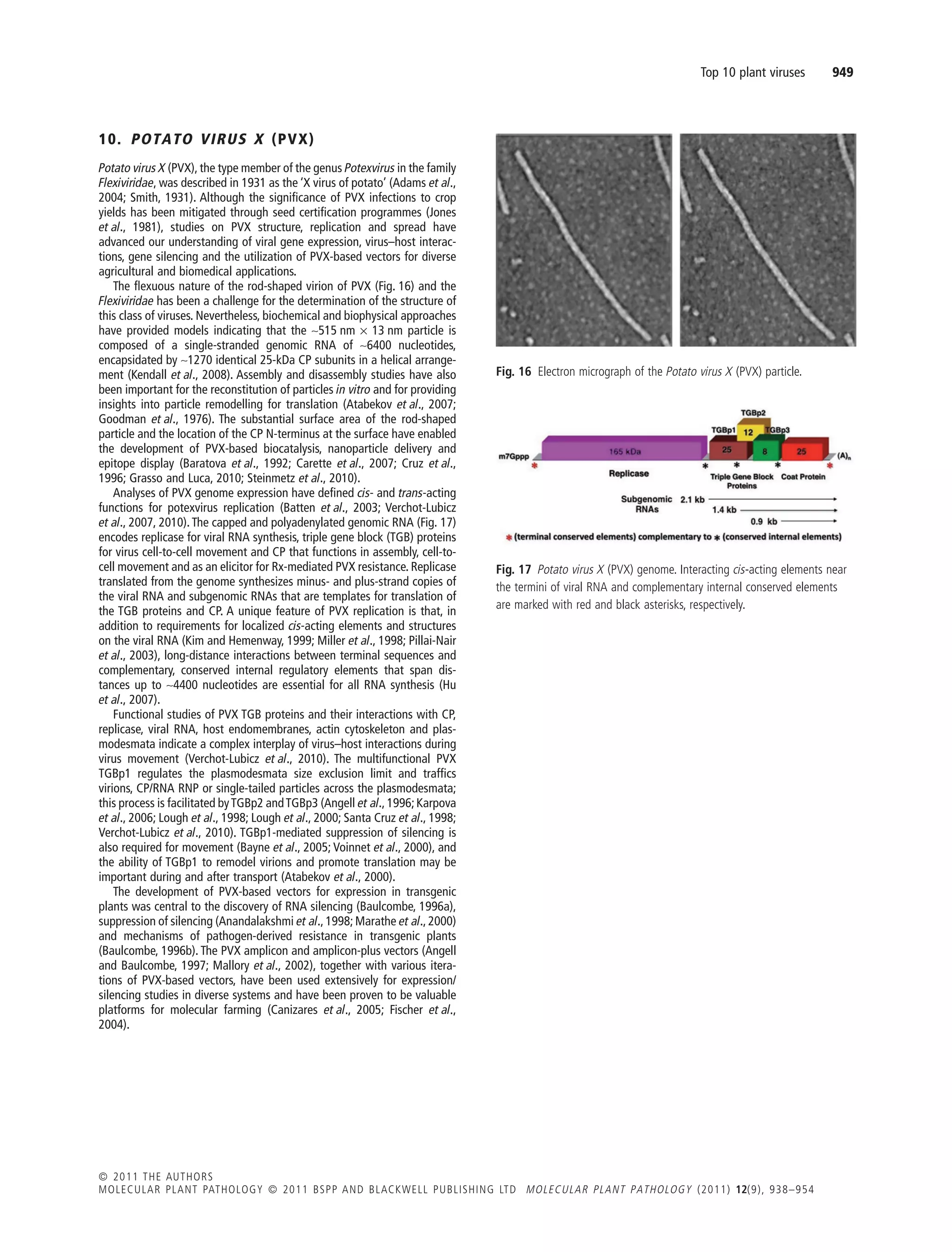 Molecular Plant Pathology - 2011 - SCHOLTHOF - Top 10 plant viruses in ...