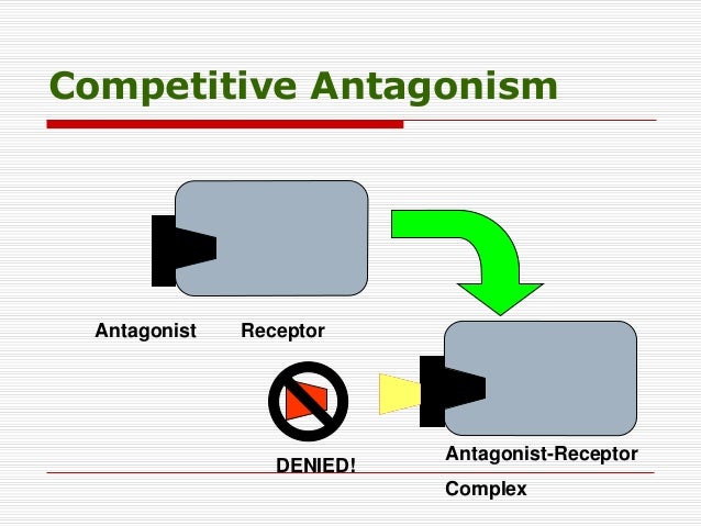 Drug Antagonism