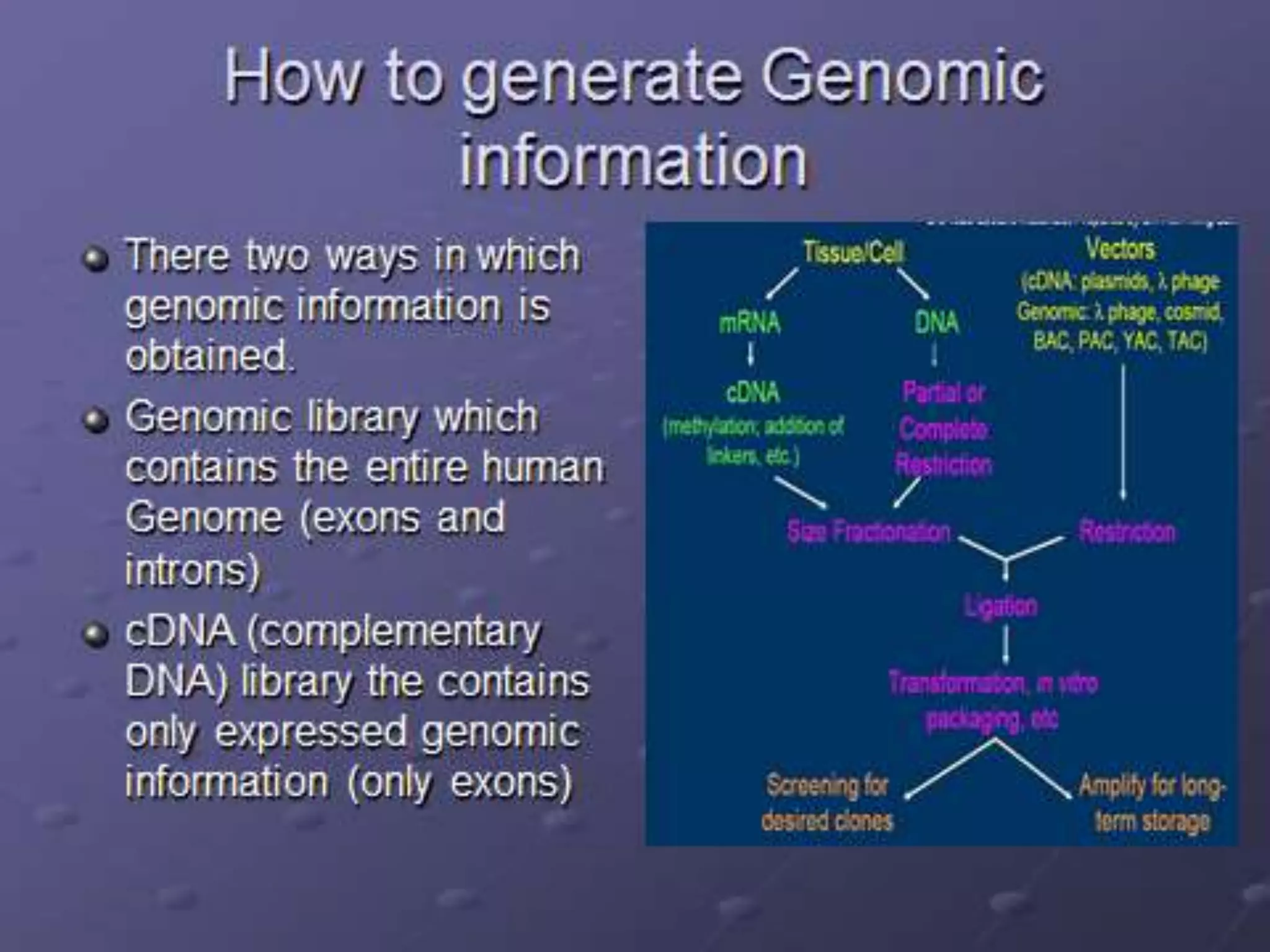 genomic library | PPTX