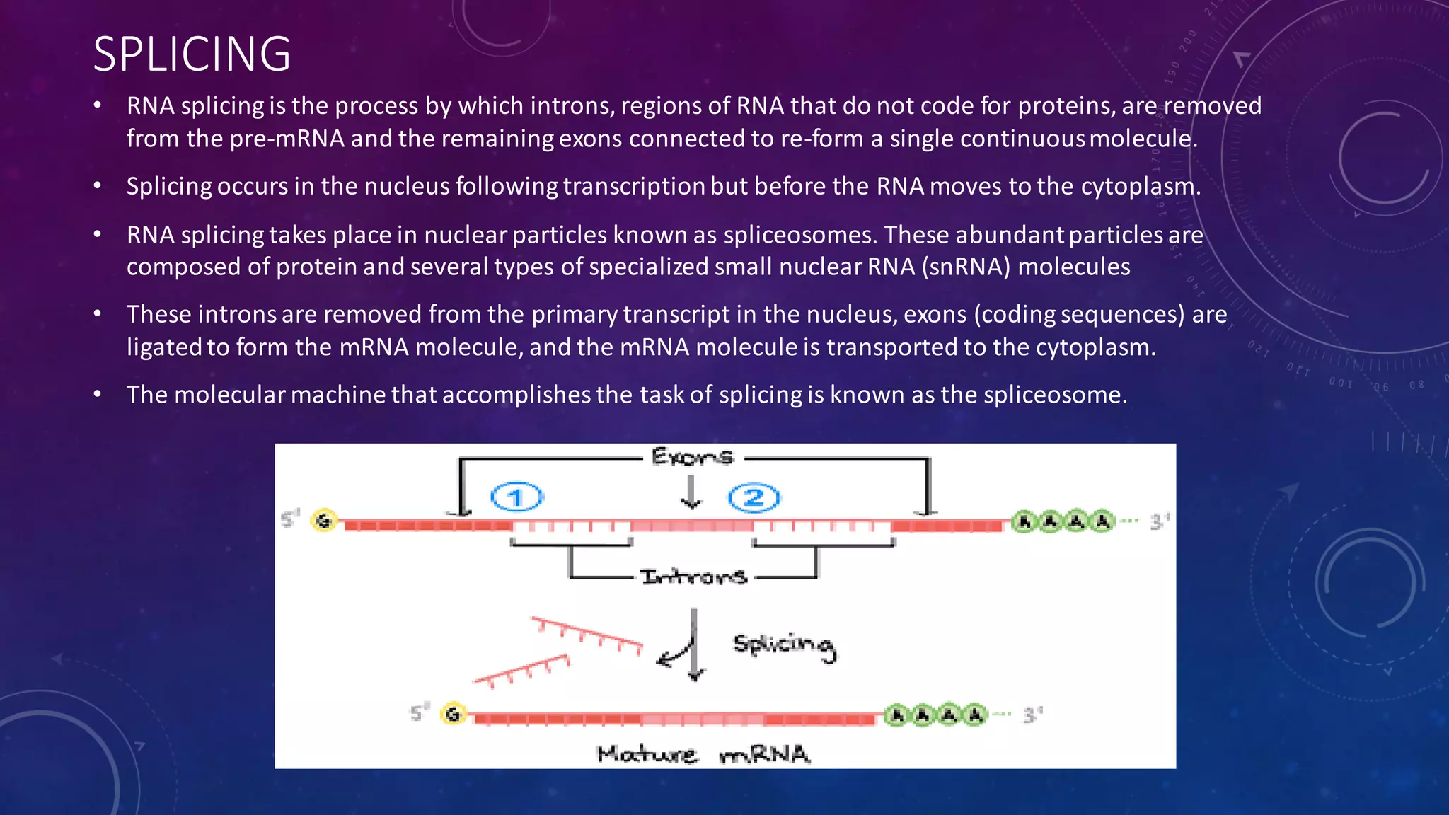 molecular presentation.pdf