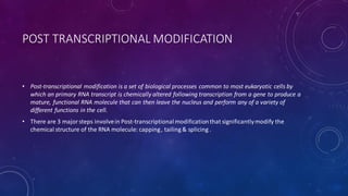 molecular presentation.pdf