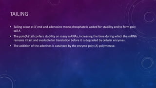 molecular presentation.pdf