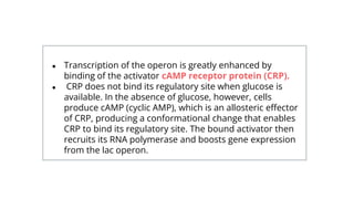Regulation of gene expression | PPTX