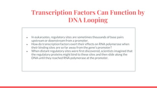 Regulation of gene expression | PPTX