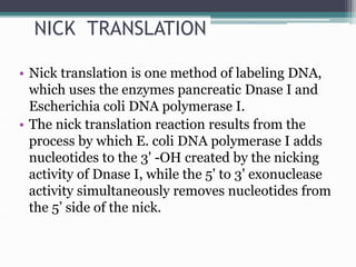 Molecular probes | PPTX