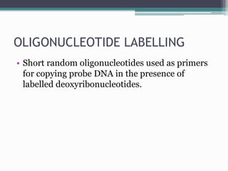 Molecular probes | PPTX