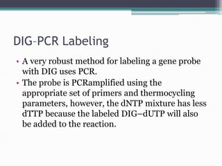 Molecular probes | PPTX