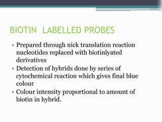 Molecular probes | PPTX