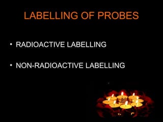 Molecular probes kashmeera n.a. | PPT