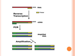 Molecular profiling of breast cancer | PPTX