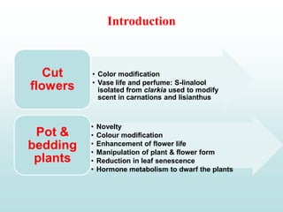 Trends of Molecular breeding in floriculture.ppt