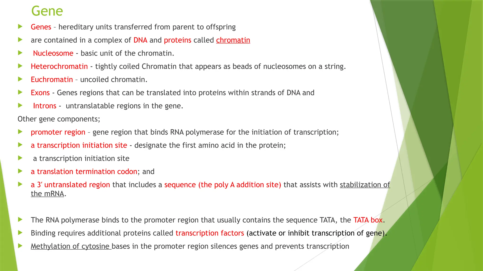 Molecular Regulation and signaling.pptx pantic | PPTX