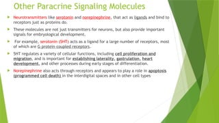 Molecular Regulation and signaling.pptx pantic | PPTX
