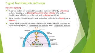 Molecular Regulation and signaling.pptx pantic | PPTX