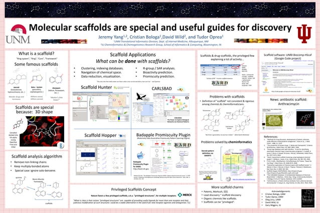 Molecular scaffolds poster | PPT