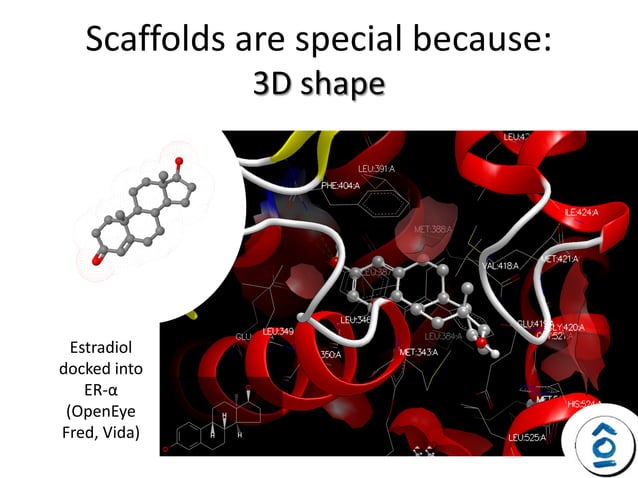 Molecular scaffolds are special and useful guides to discovery | PDF ...