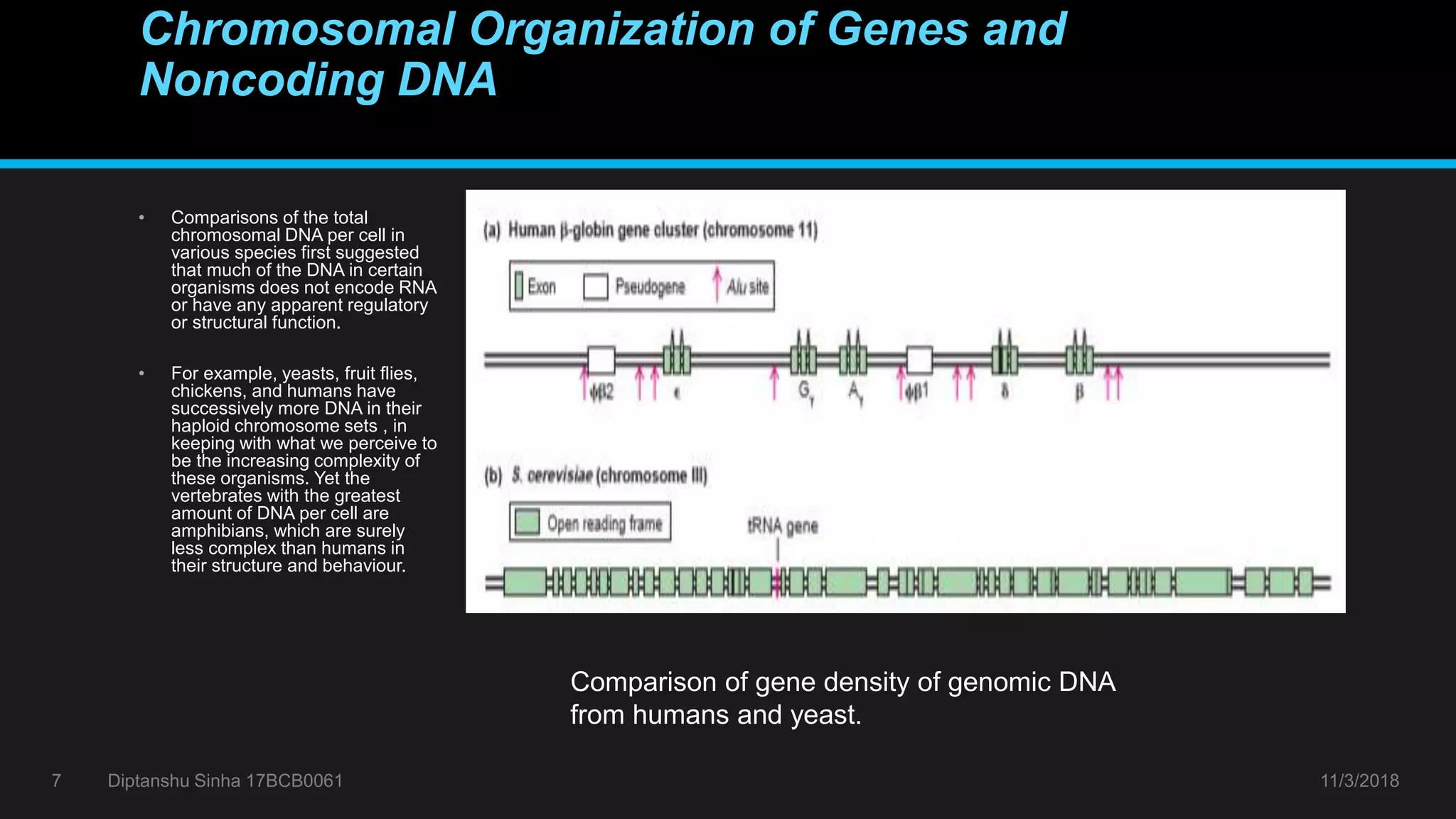 Molecular structure of genes and chromosomes | PPTX