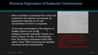 Molecular structure of genes and chromosomes | PPTX