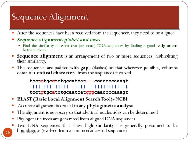 Molecular systematics.pdf | Biological Sciences | Science