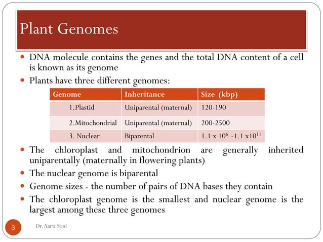 Molecular systematics.pdf | Biological Sciences | Science