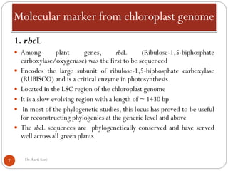 Molecular systematics.pdf