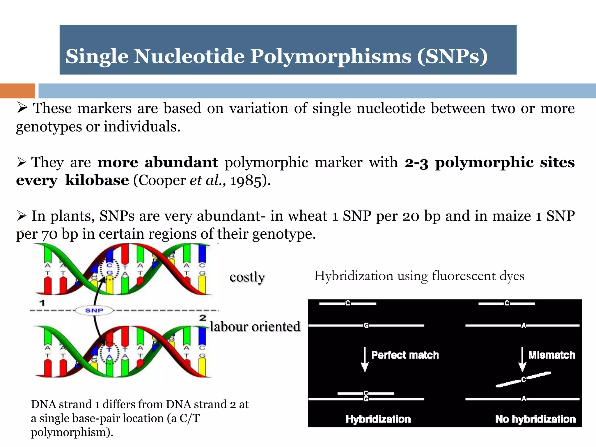 Molecular tagging | PPTX