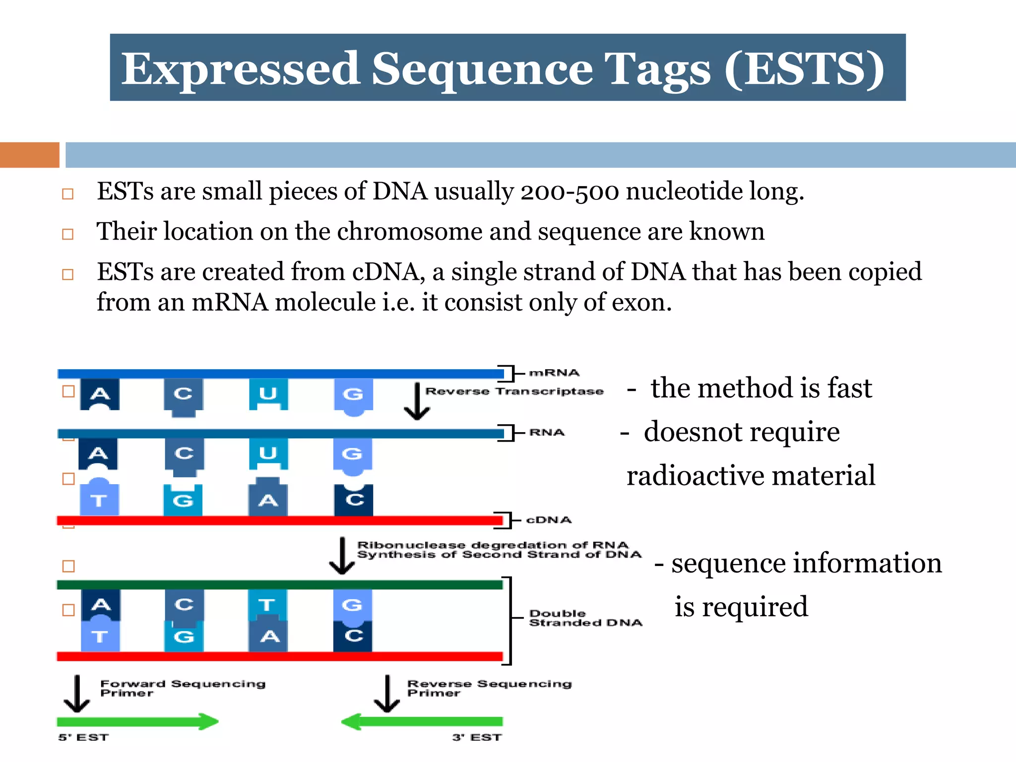 Molecular tagging | PPTX