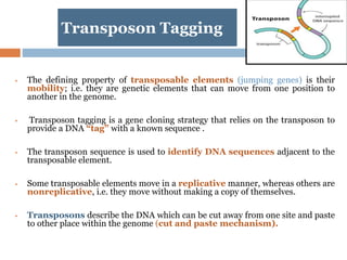 Molecular tagging | PPTX
