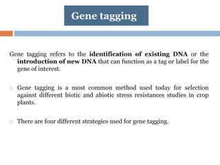 Molecular tagging | PPTX