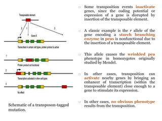 Molecular tagging | PPTX
