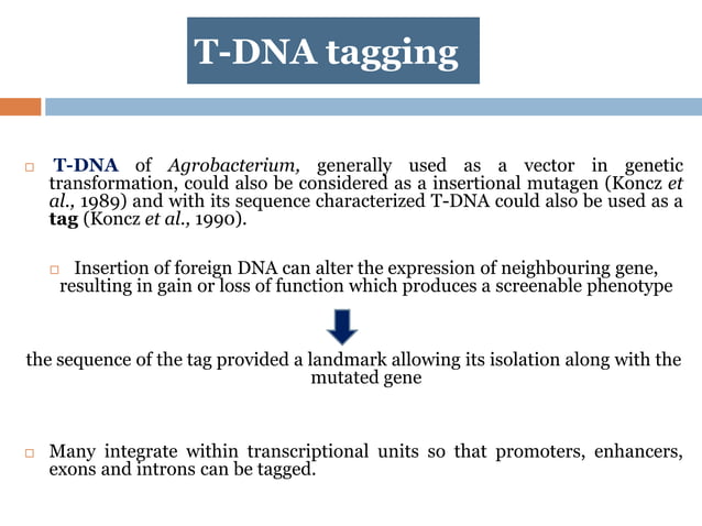 Molecular tagging | PPTX