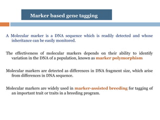 Molecular tagging | PPTX