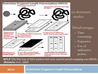 Molecular tagging | PPTX