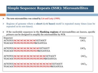 Molecular tagging | PPTX