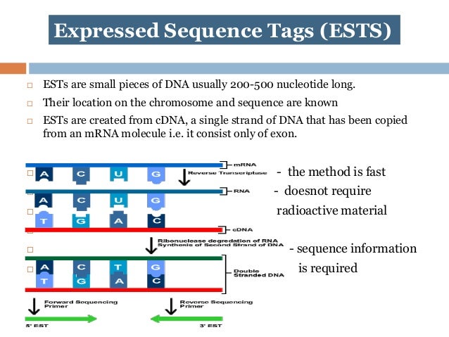 Molecular tagging