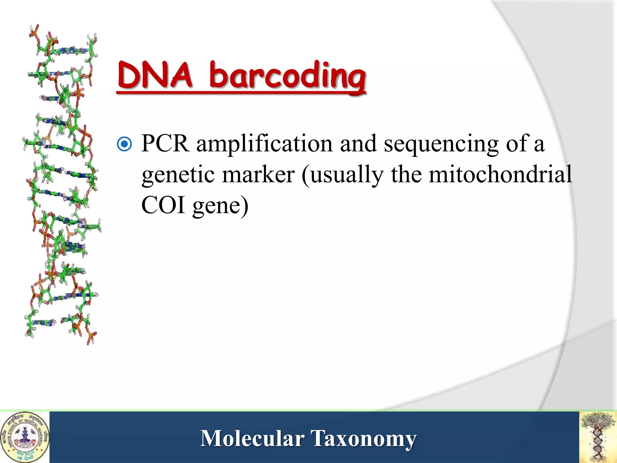 Molecular taxonomy | PPTX