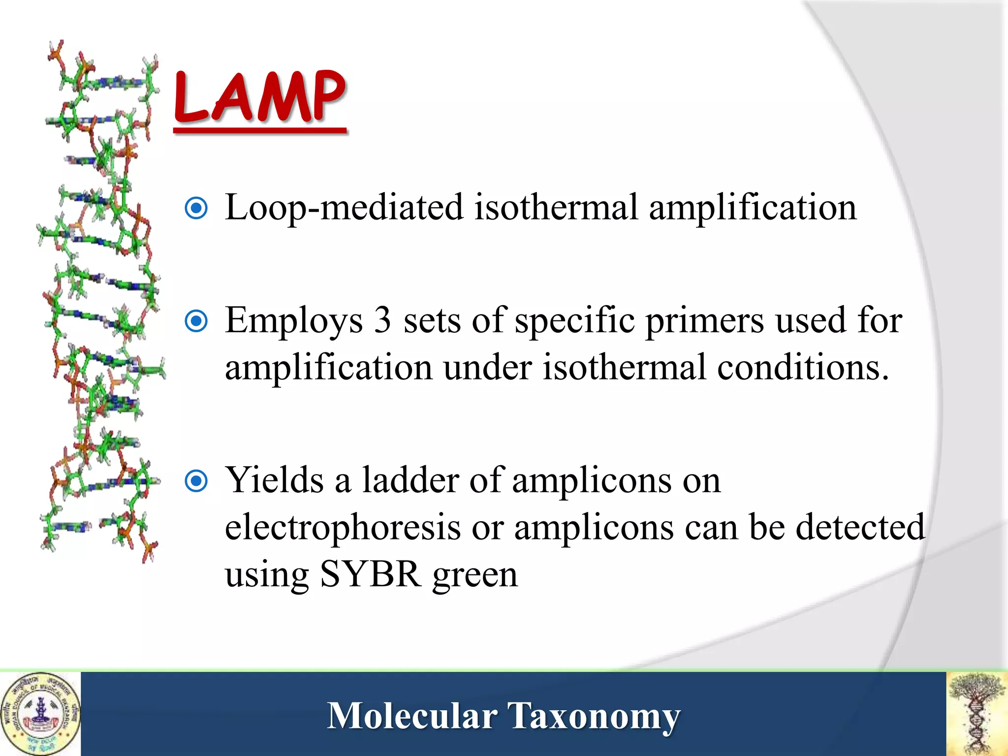 Molecular taxonomy | PPTX