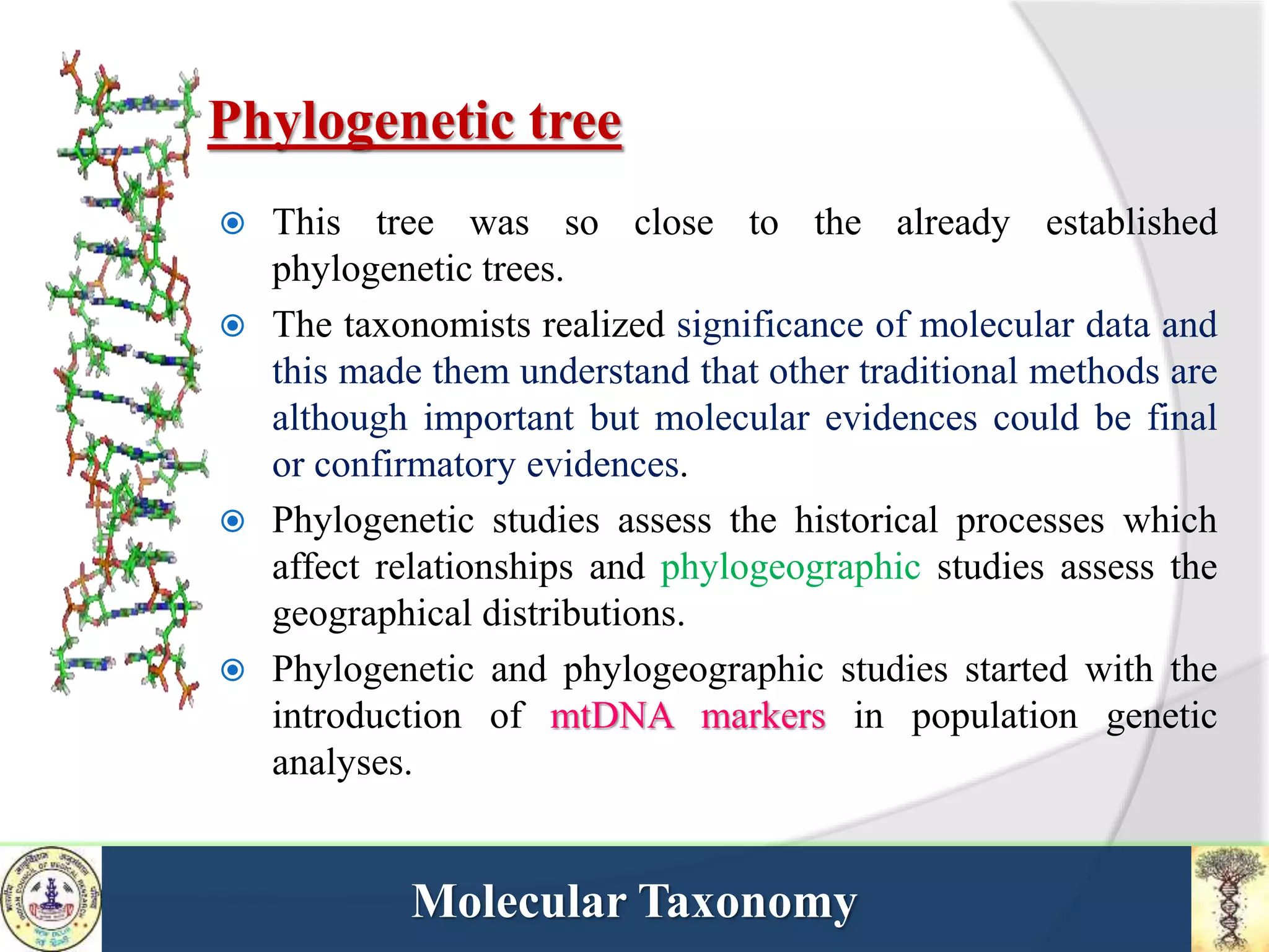 Molecular taxonomy | PPTX