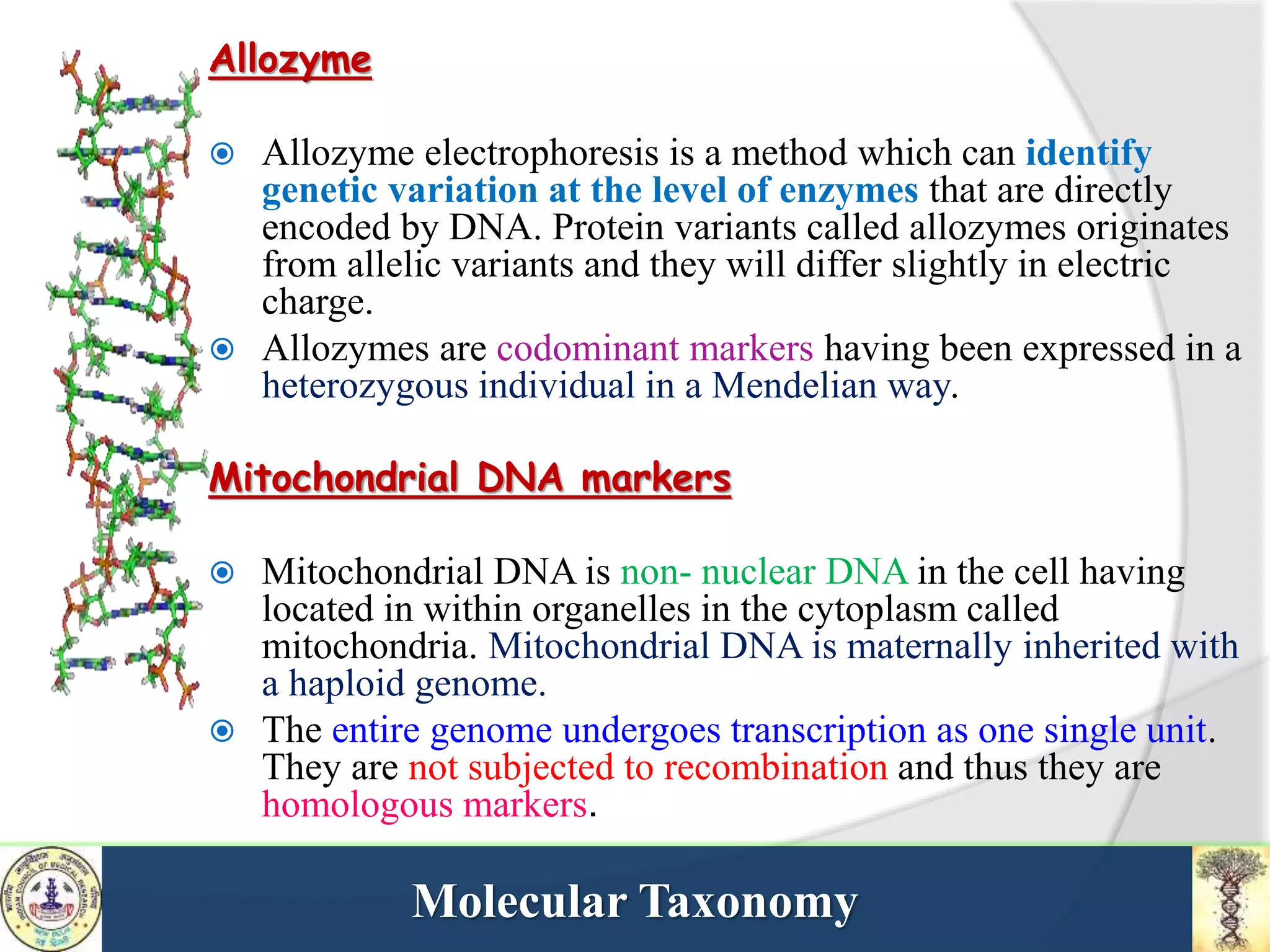 Molecular taxonomy | PPTX